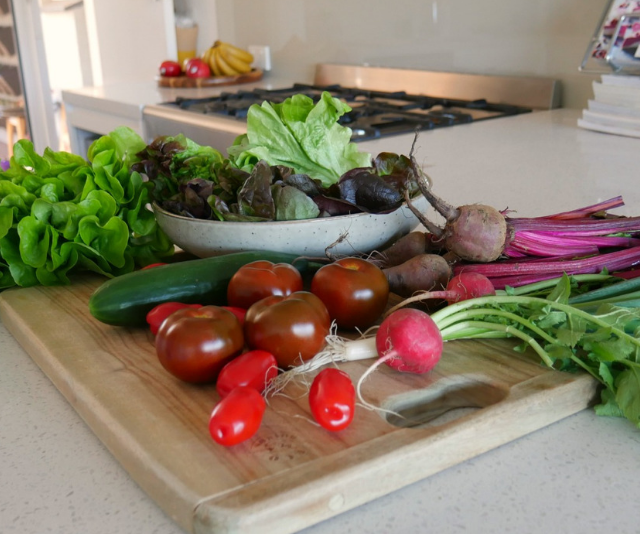Organic vegetable garden at home: Tips and tricks| Bounty Parents