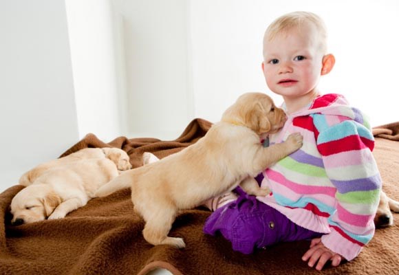 Best dogs for babies | Bounty Parents