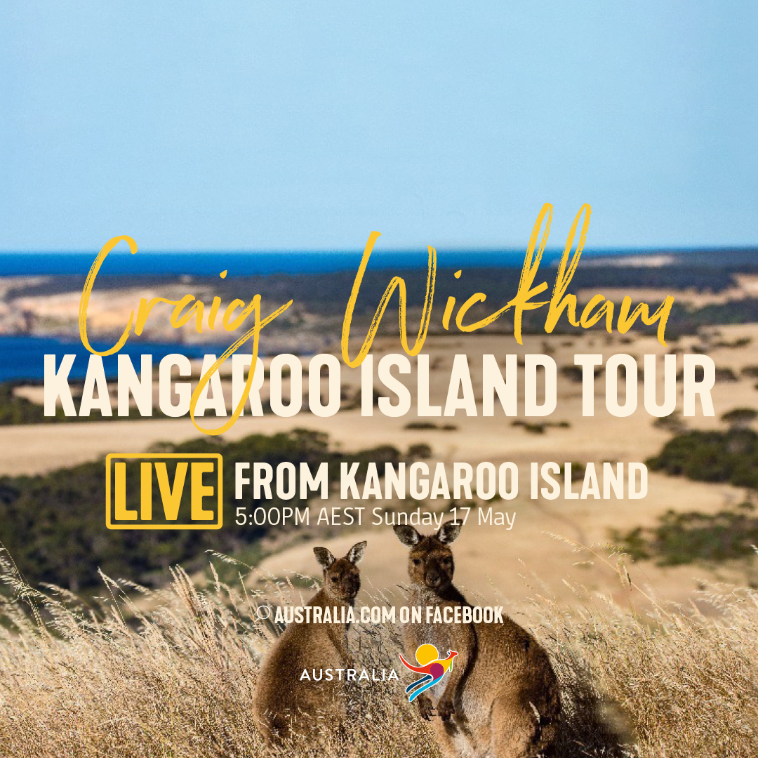 The Tourism Australia Live Streams bringing travel to you | Bounty Parents