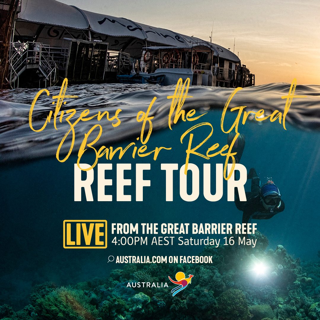 The Tourism Australia Live Streams bringing travel to you | Bounty Parents