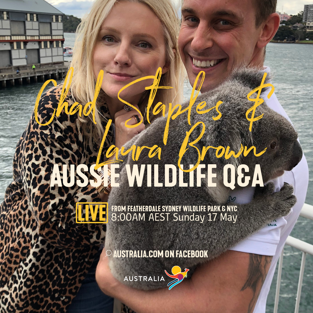 The Tourism Australia Live Streams bringing travel to you | Bounty Parents