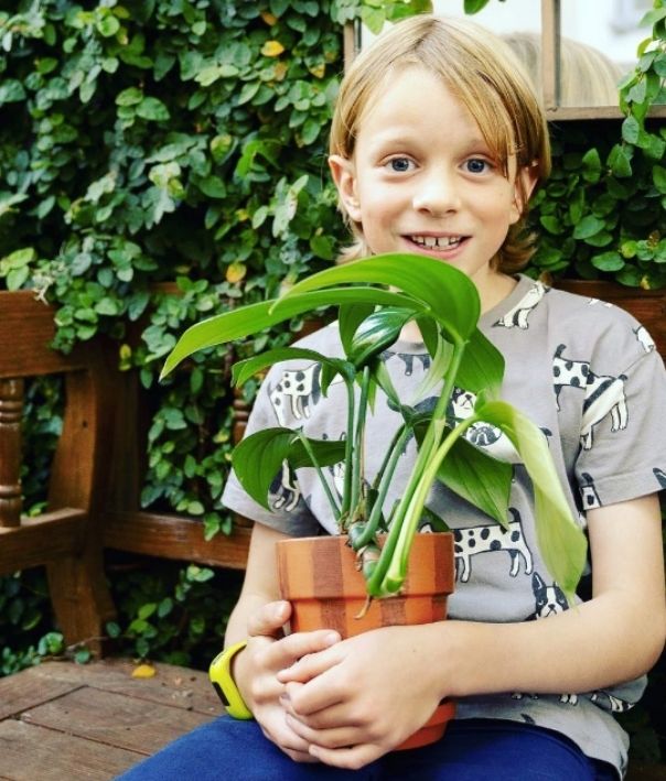 8 of the safest plants for children, according to a gardening expert ...