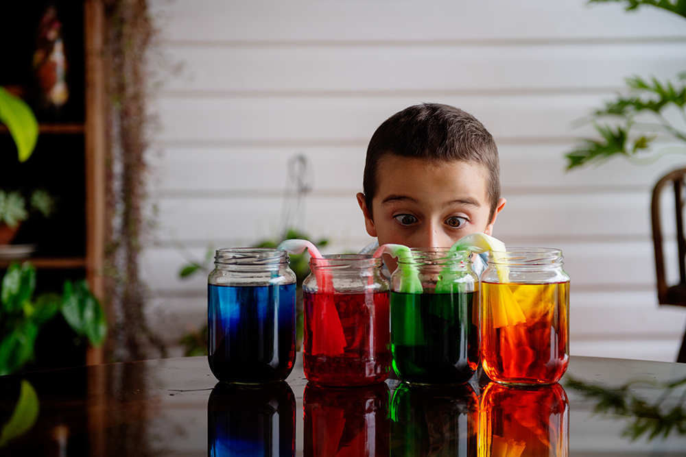 Science Experiments you can do at home | Bounty Parents