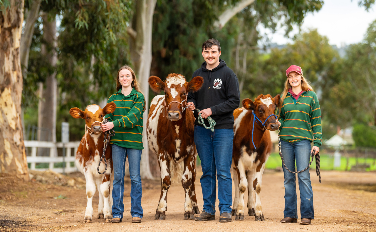 The Royal Adelaide Show: Budget family fun | Bounty Parents
