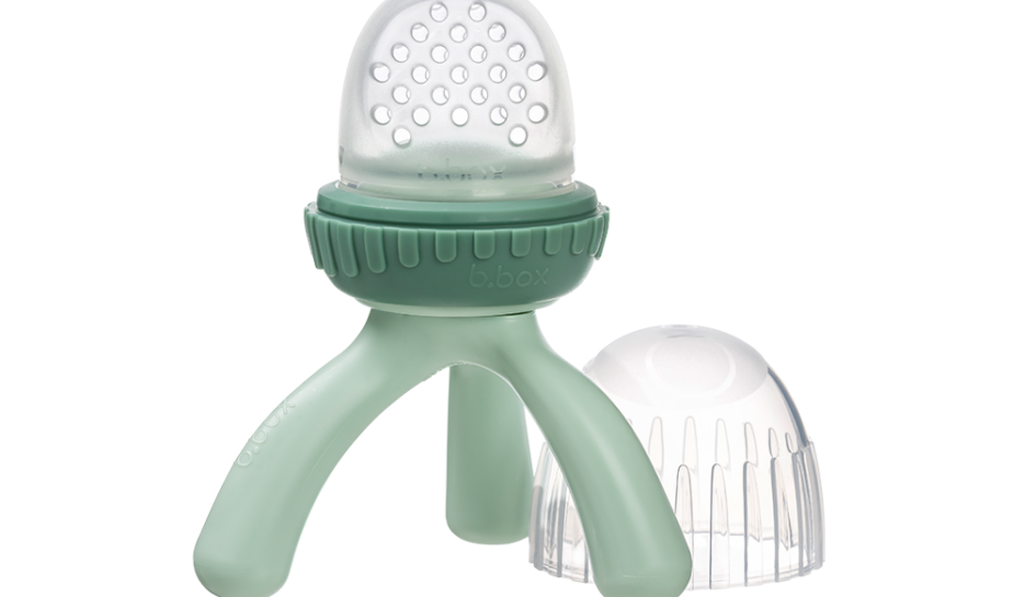 b.box for kids Silicone Fresh Food Feeder | Bounty Parents