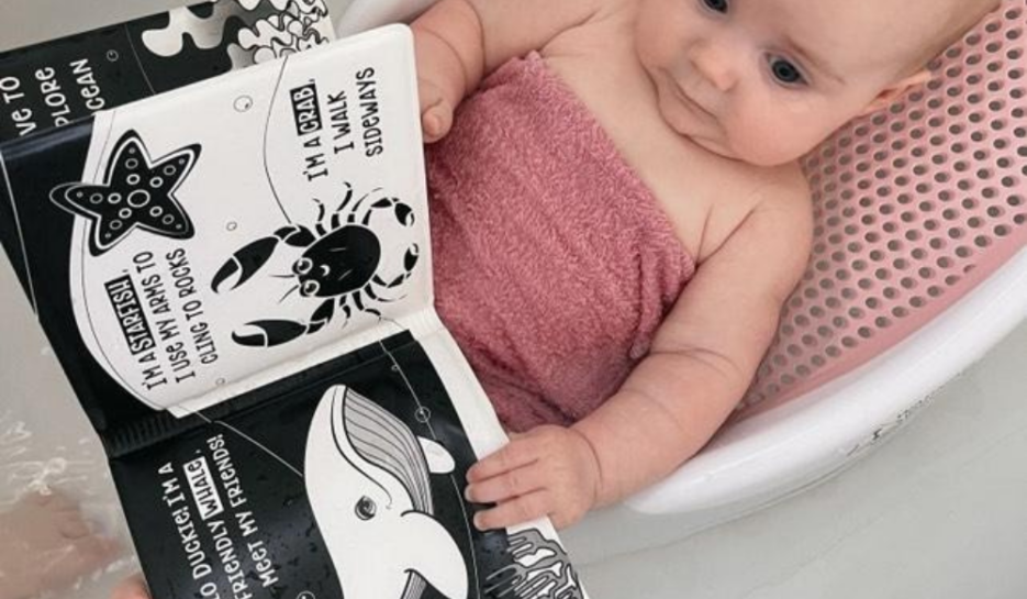 Young Wonderer Duckie Goes On An Adventure Black & White Bath Book ...